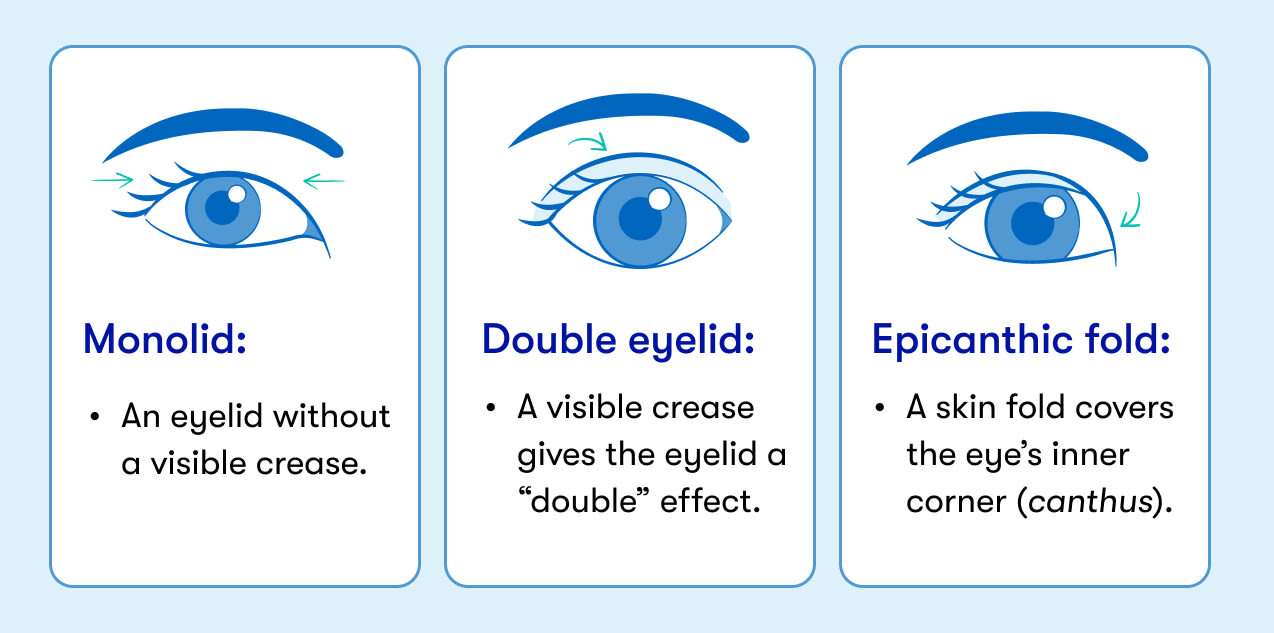 What are Monolid Eyes? | 1-800 Contacts