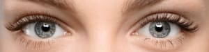 1-800 Contacts