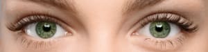 1-800 Contacts