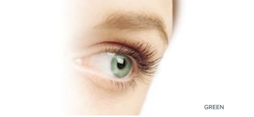 FreshLook Colorblends Colored Contact Lenses | 1-800 Contacts