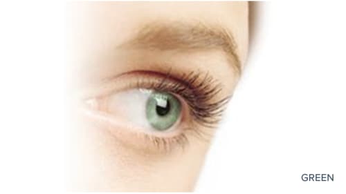 FreshLook Colors Contact Lenses | 1-800 CONTACTS