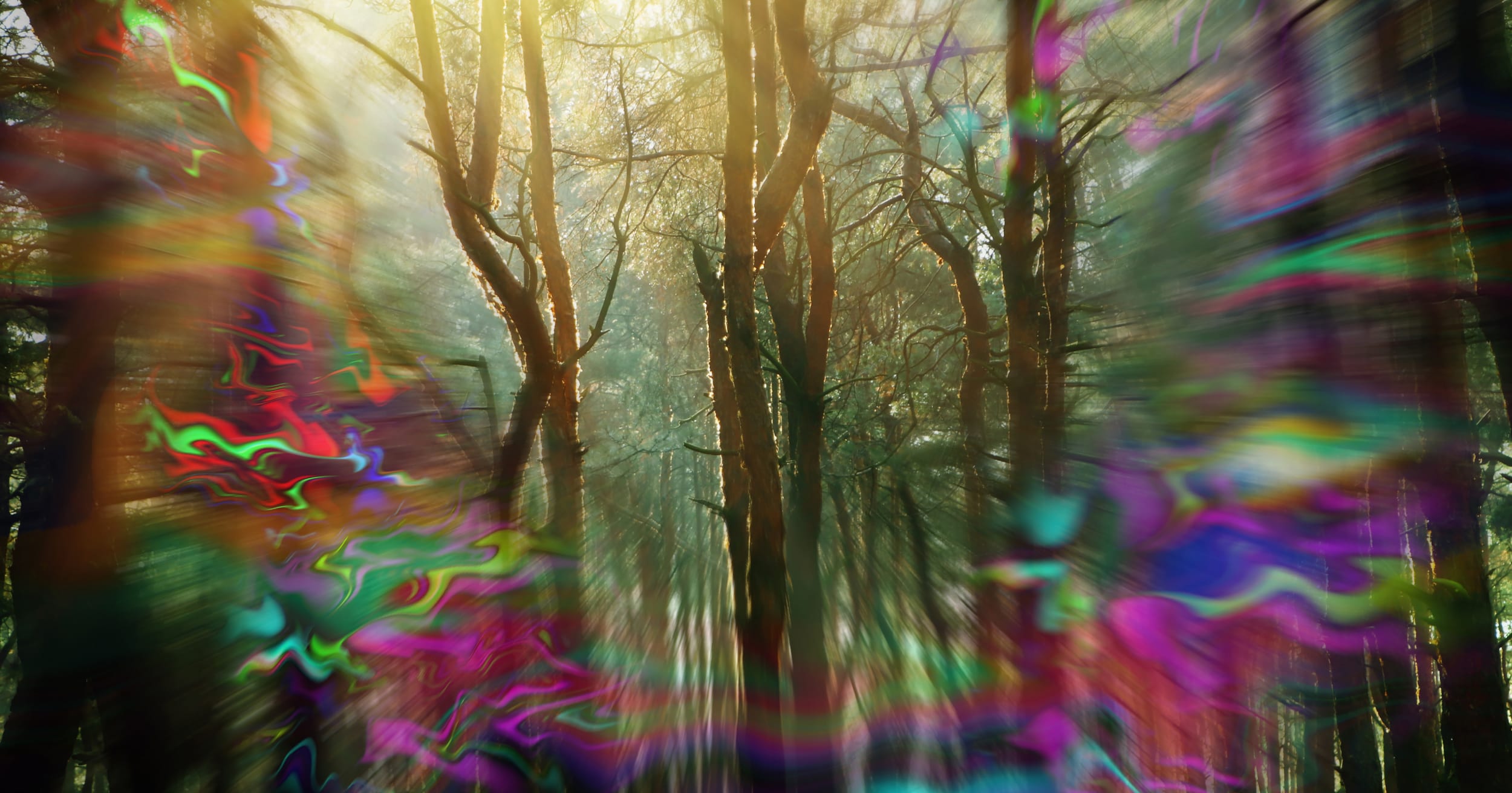 What Are Ocular Migraines? | 1-800 Contacts