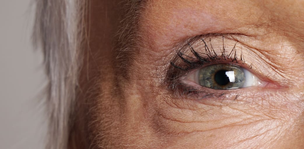 All About Multifocal Contacts